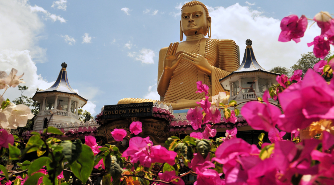 Tour | Sri Lanka Family Holiday | Intrepid Travel | HHFL_166654