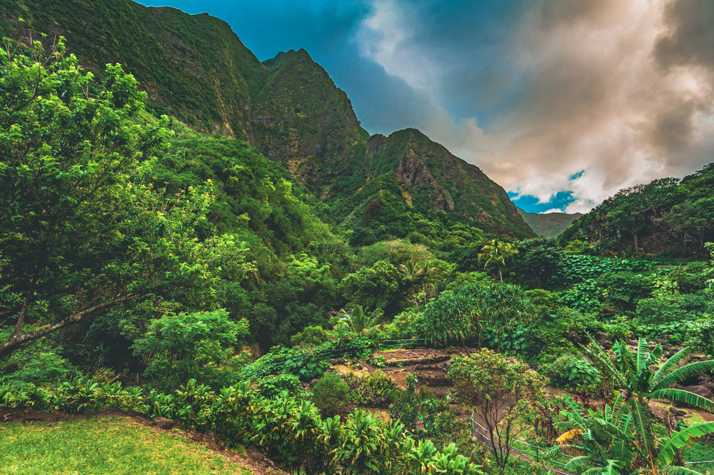 Tour | Hawaii with Oahu, Maui & the Big Island | Insight Vacations ...