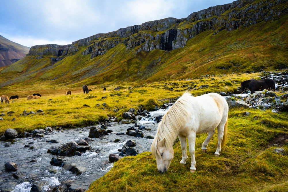 Tour | Iceland Explorer | Exodus Adventure Travels | AVW2