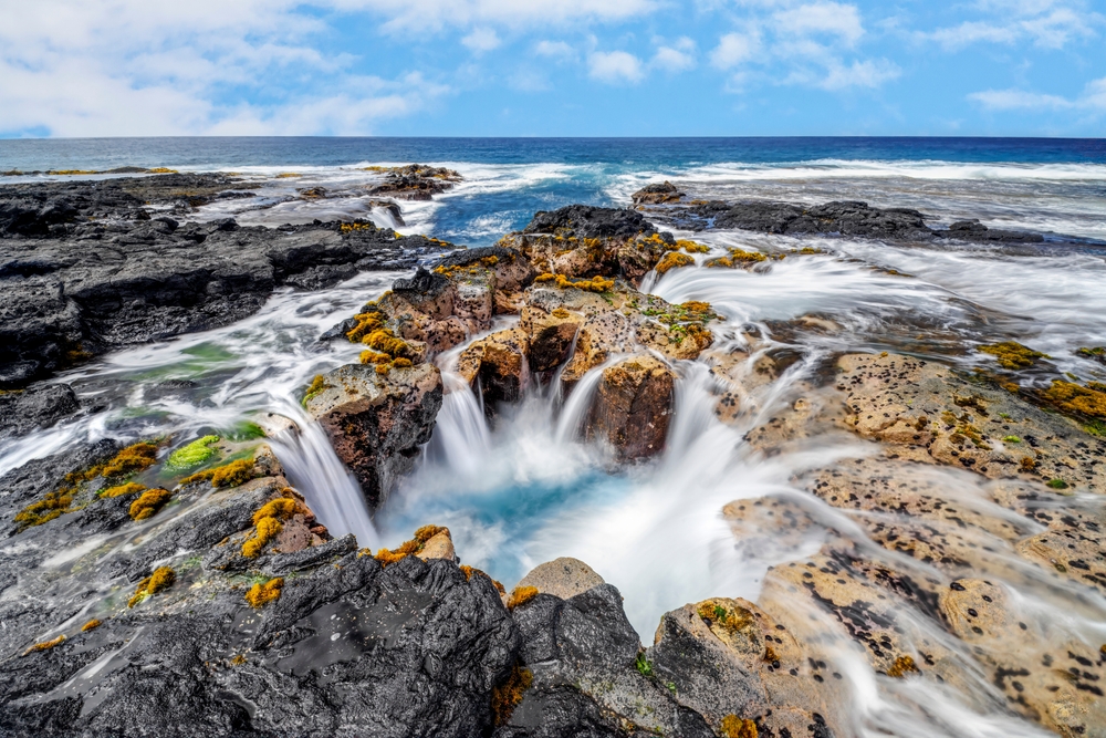 Tour | Hawaiian Islands | Cosmos | 8150-2025