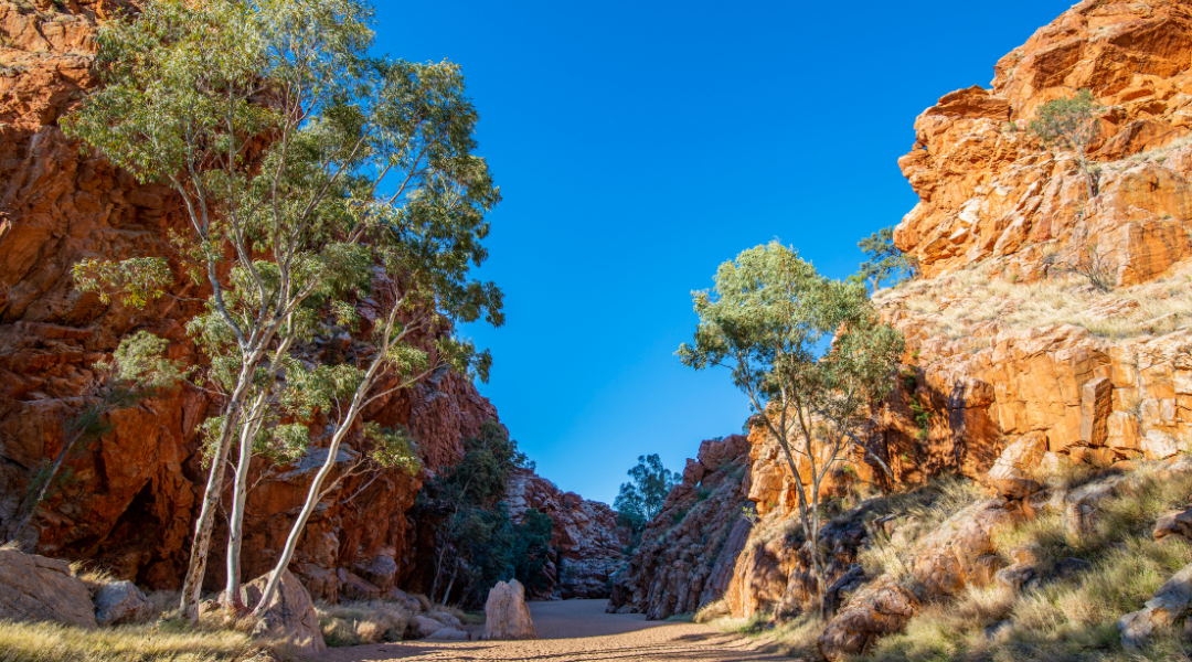 Tour | Red Centre & Uluru Explorer | Intrepid Travel | PZSR_167609