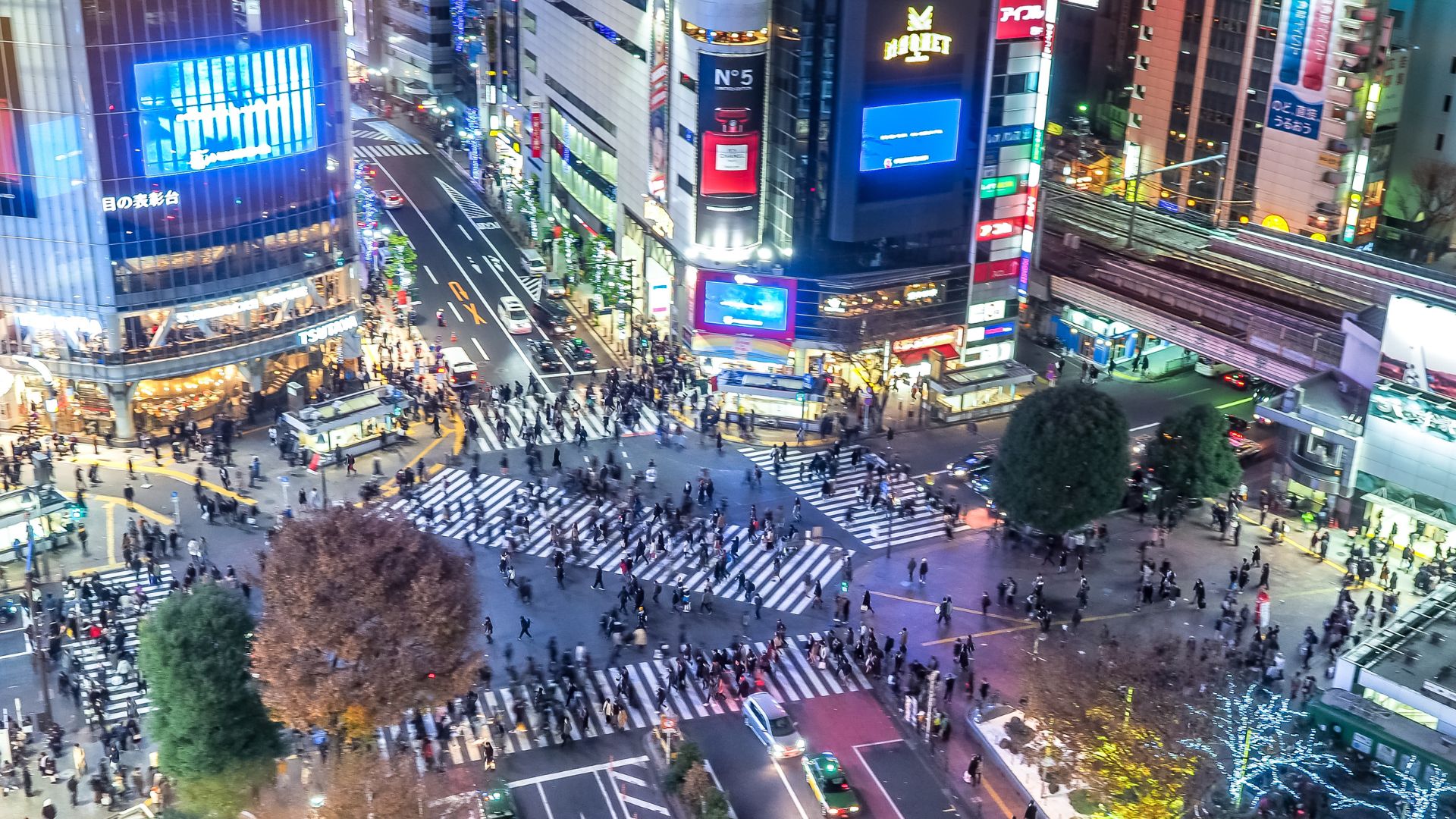 Tour | Essential Japan | Intrepid Travel | CJYO_166807