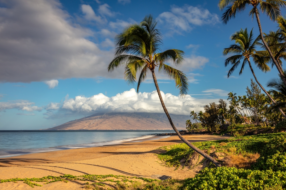 Tour | Hawaiian Islands | Cosmos | 8150-2025