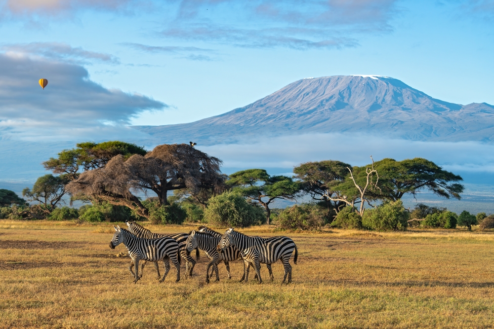 Tour | On Safari in Kenya & Tanzania with Nairobi | Cosmos | 3553-2027