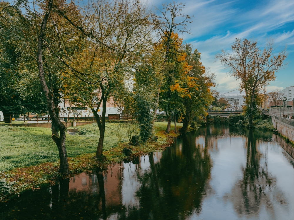 Tour | Camino de Santiago Walking Experience 7D/6N (from Sarria ...