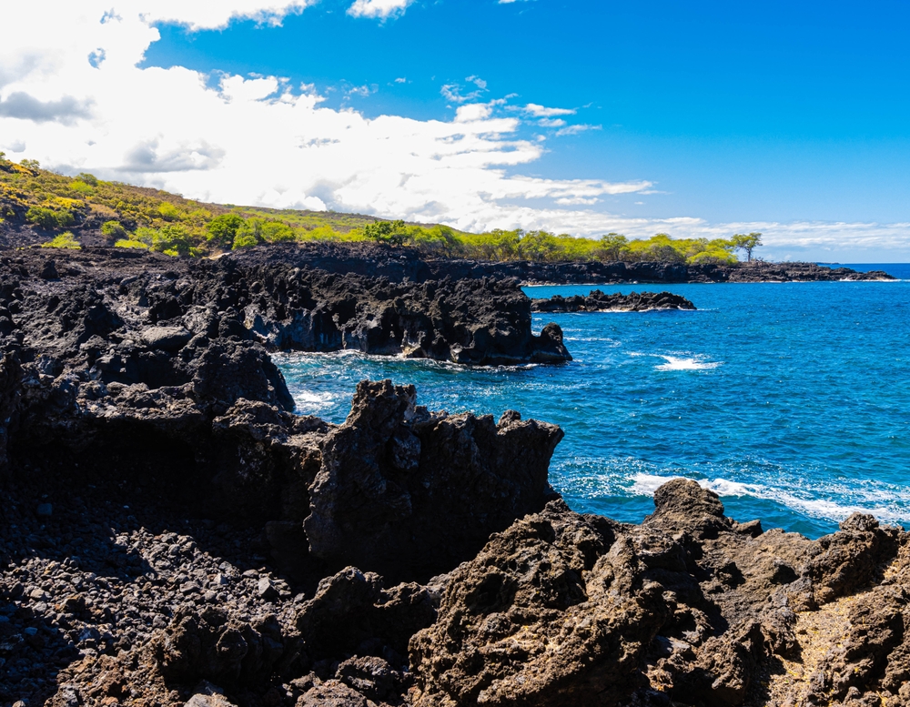 Tour | Hawaiian Islands | Cosmos | 8150-2025