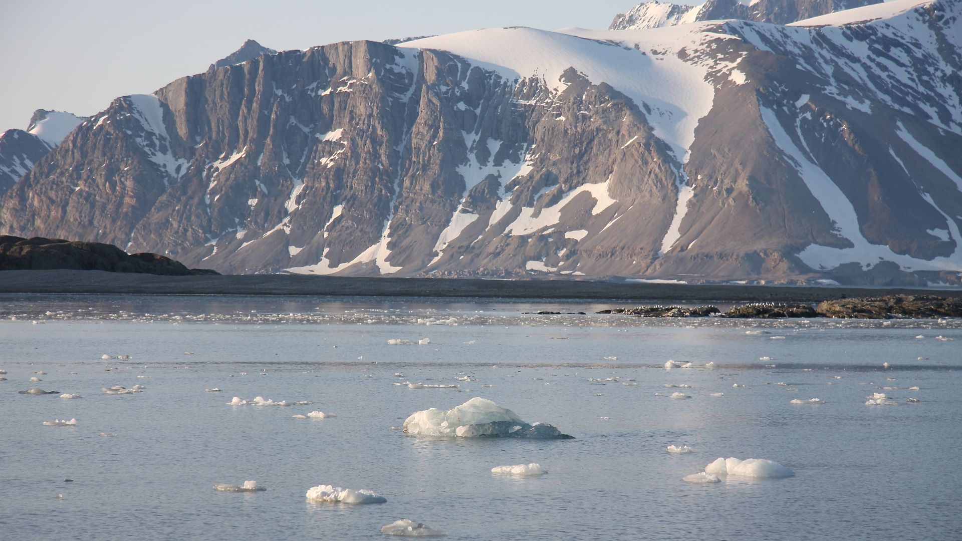 Tour | Svalbard in Spring: Sea Ice, Pristine Snow and Wildlife | Quark ...