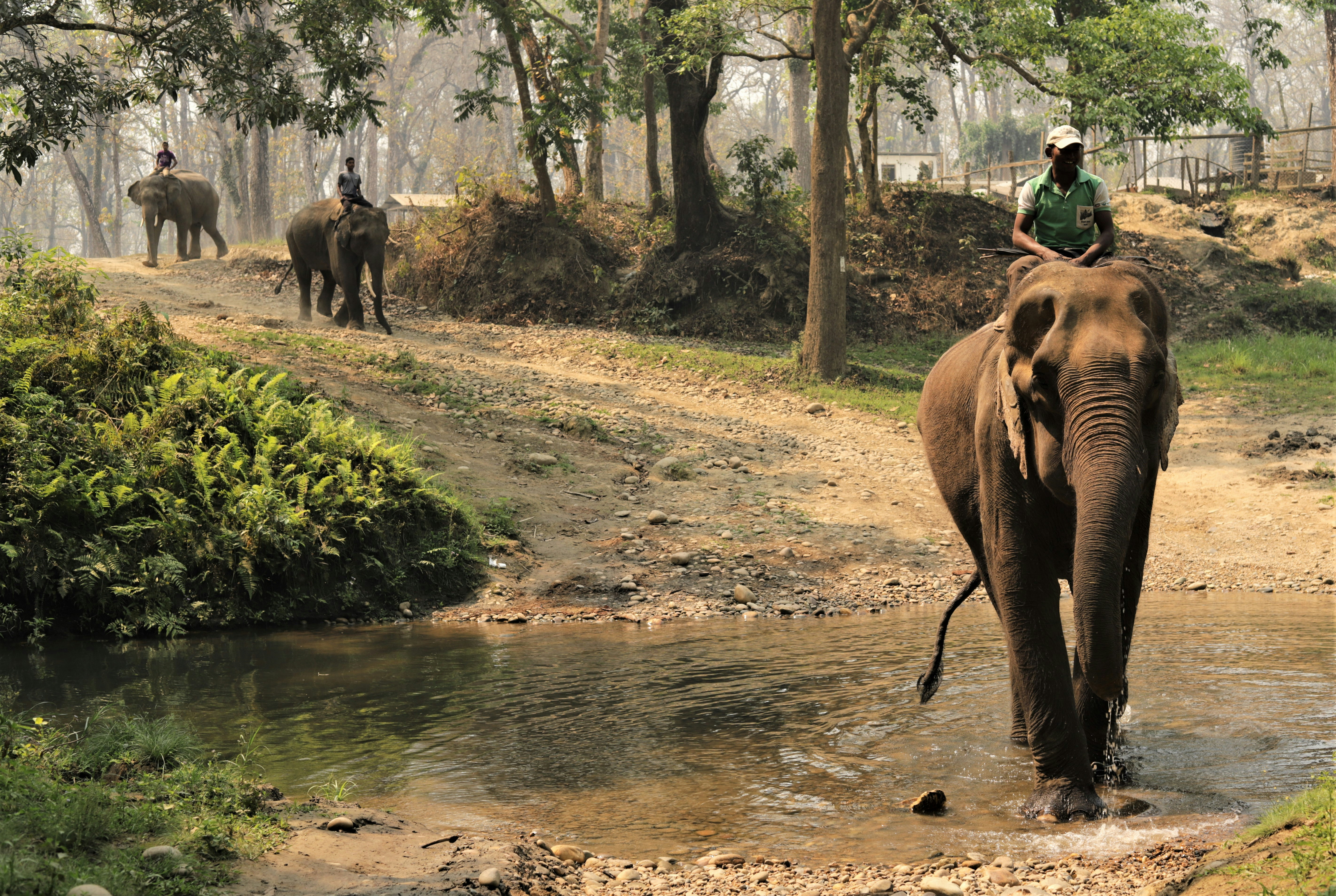 Tour | Annapurna Trek & Chitwan National Park | Ramble Worldwide | 4235 ...