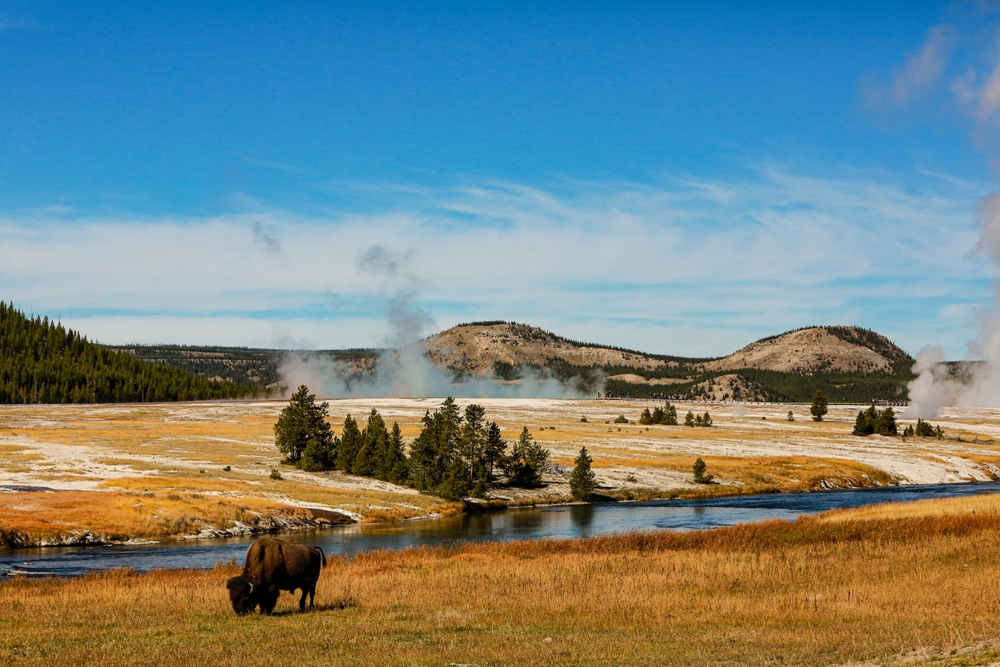 Tour | Montana: Exploring Big Sky Country featuring Yellowstone ...