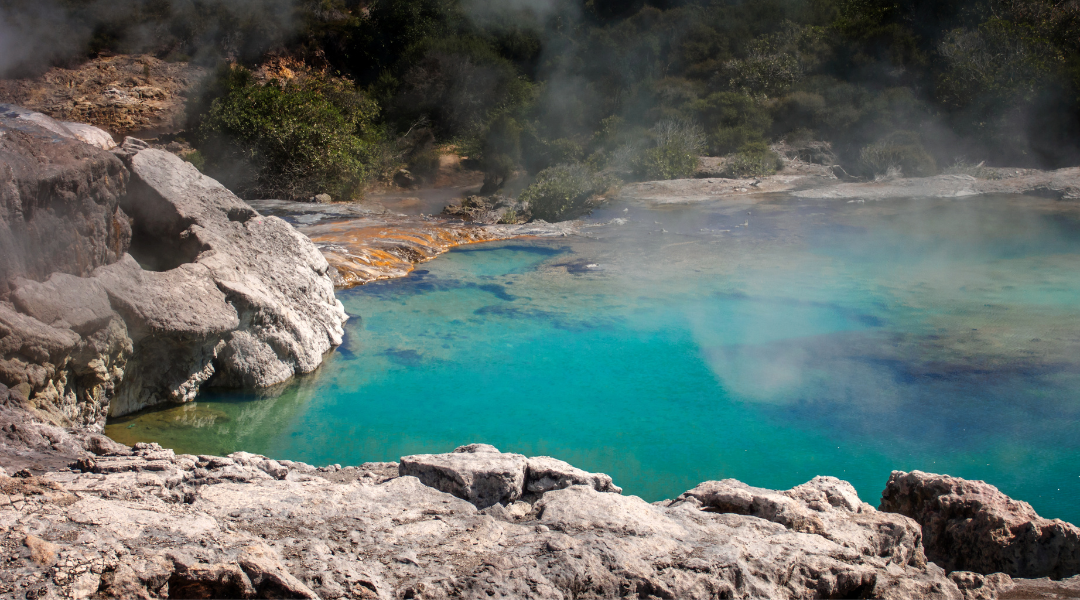 Tour | New Zealand Northern Trail (Southbound) | Intrepid Travel | PHKN ...