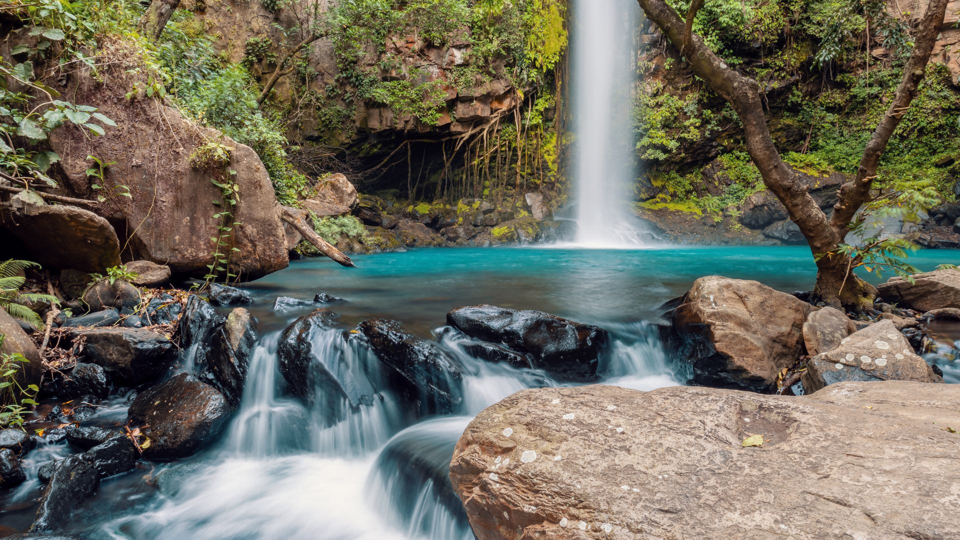Tour | Signature: Costa Rica's Monteverde, Arenal & Guanacaste | G ...