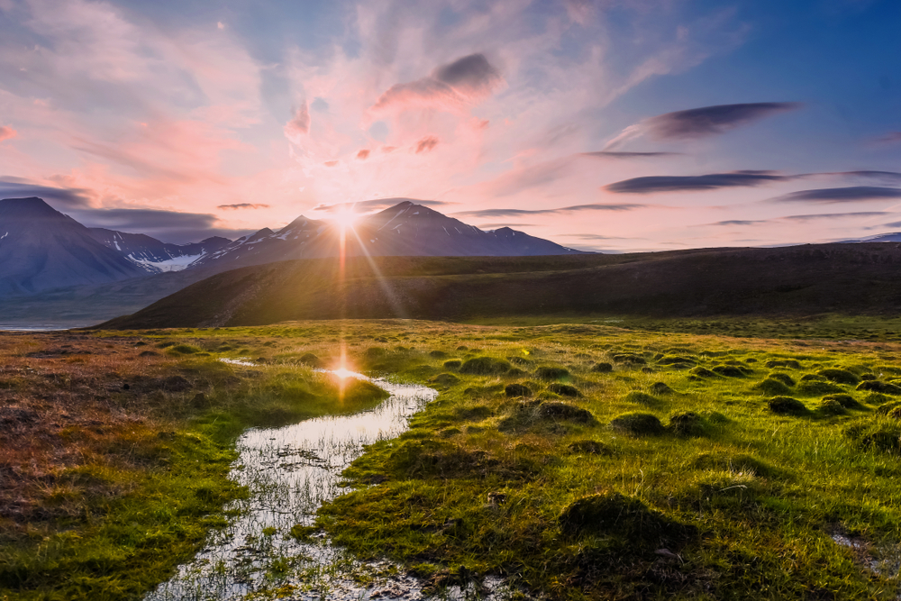 Tour | Svalbard in Spring: The Return of the Sun | With extended stay ...