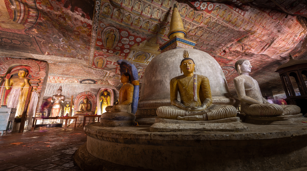 Tour | Wonders of Sri Lanka - Small Group | Insight Vacations | SA530N26