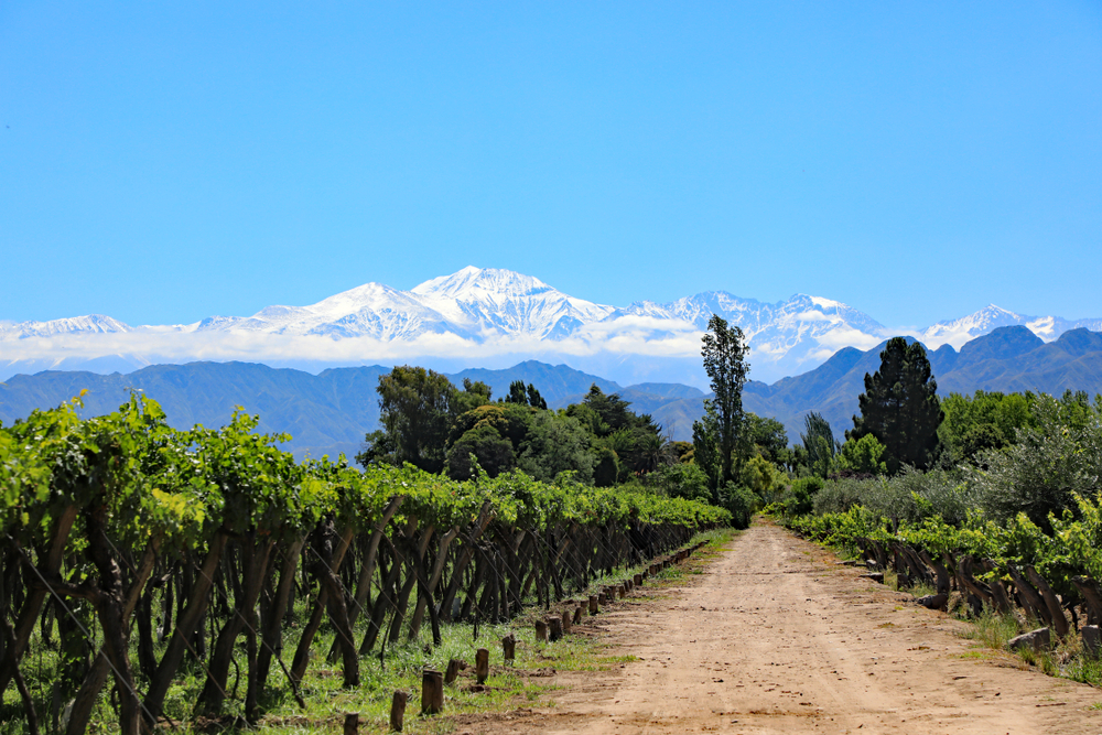 Tour | Essential South America featuring Chile, the Mendoza Wine Region ...