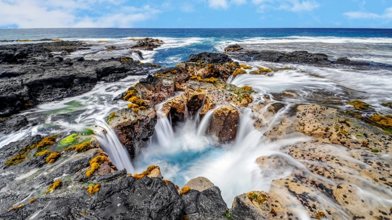 Tour | Hawaiian Islands | Cosmos | 8150-2025